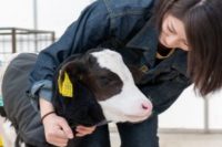 FutureCow | Teat Scrubbers, Cow Brushes, Automated Dip Sprayer