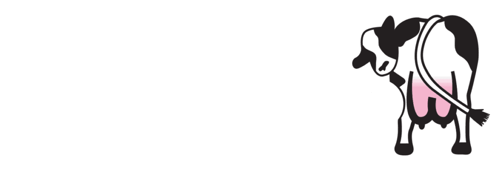 The Lie About Lying Down: Real Cow Comfort Explained - FutureCow